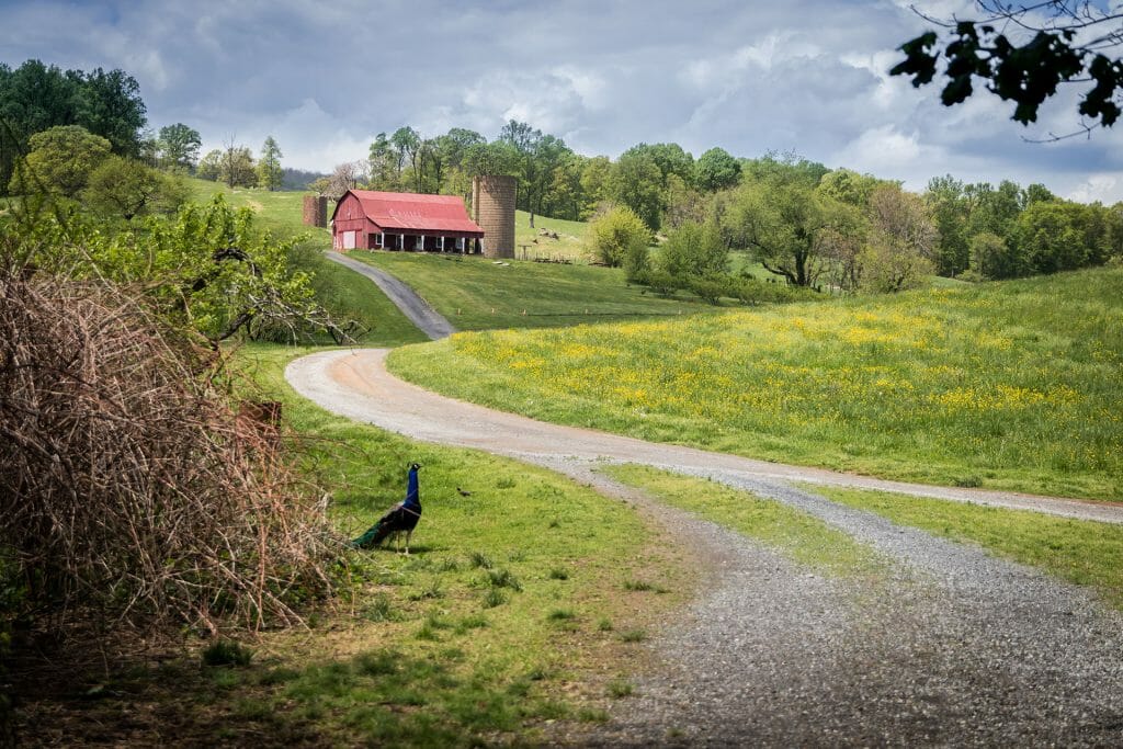 Farm History: Historic Valley View Farm, Fauquier County, northern Virginia