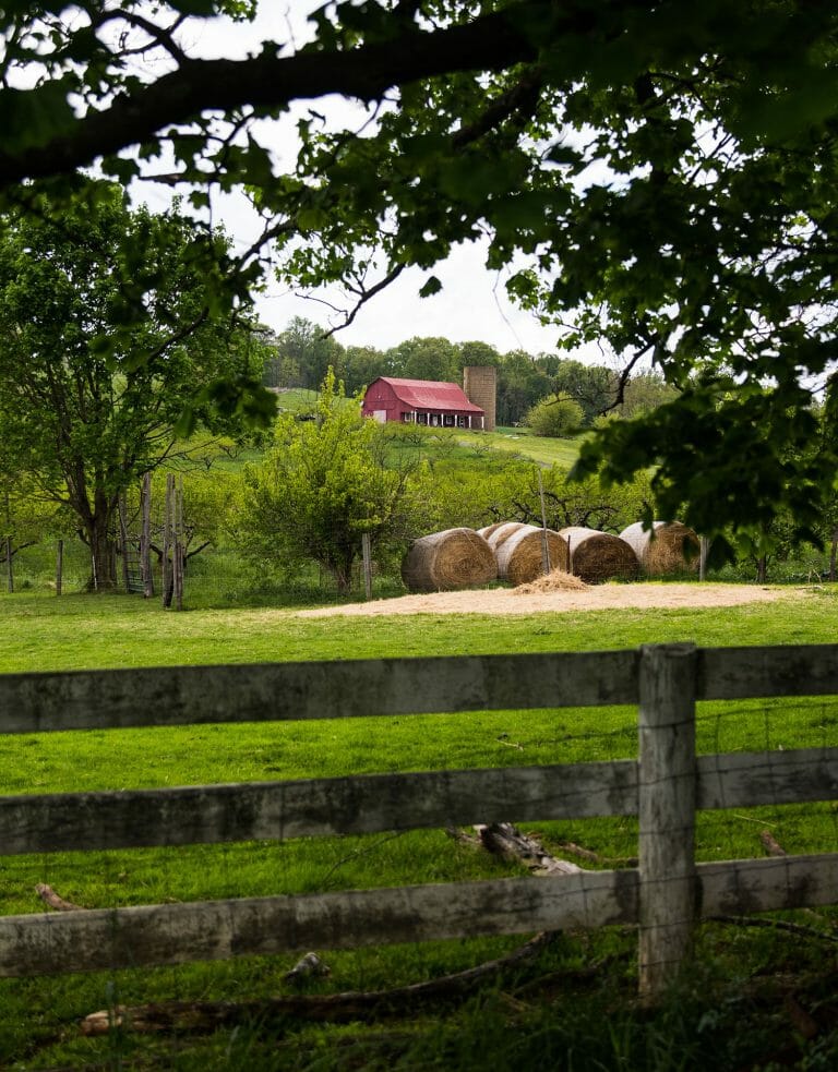 Valley View Farm: Cider, Wine, Orchard, Market, and More!